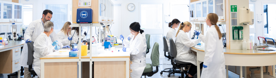 Assay Development & Optimization - Mercodia