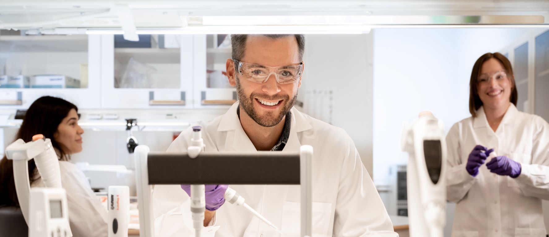 Oxidized LDL ELISA - Mercodia